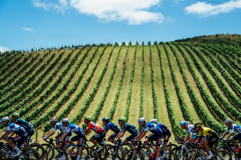 How to TDU: Your two-minute guide for 10 epic days - The Post