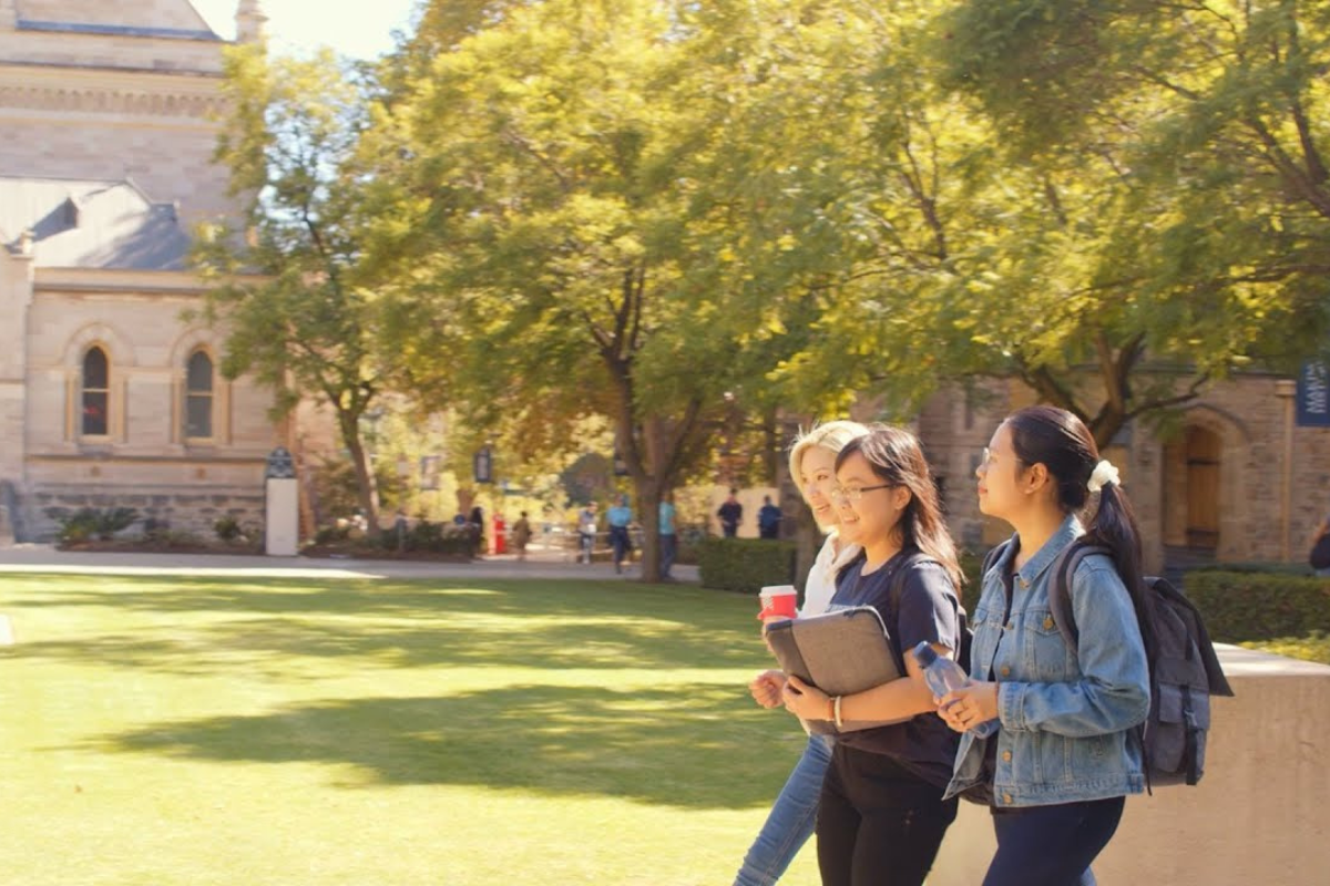 The new Adelaide University: Everything you need to know - The Post
