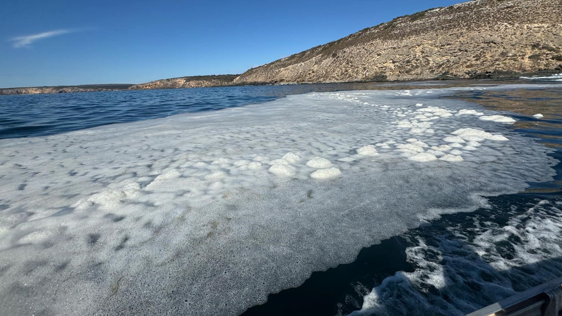 Summer by the sea: Your essential SA algal bloom guide - The Post