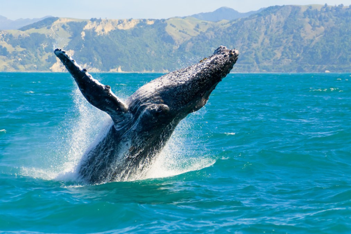15 things to do in SA this June - The Post